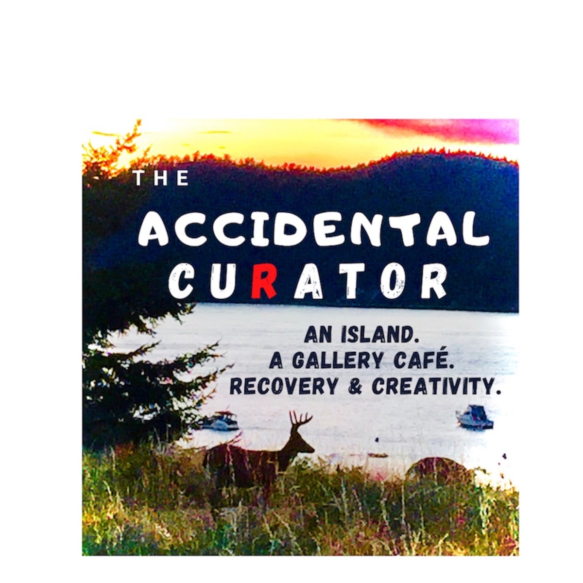 The Accidental Curator – Episode 7 – The Three Injuries – A Story ...
